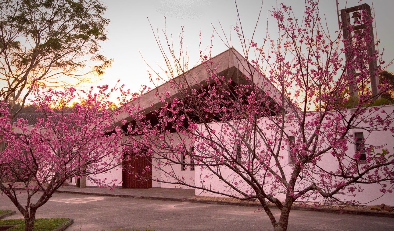 Casa São Lucas – Memorial Claudio Pastro - Museu de Arte Sacra de São Paulo